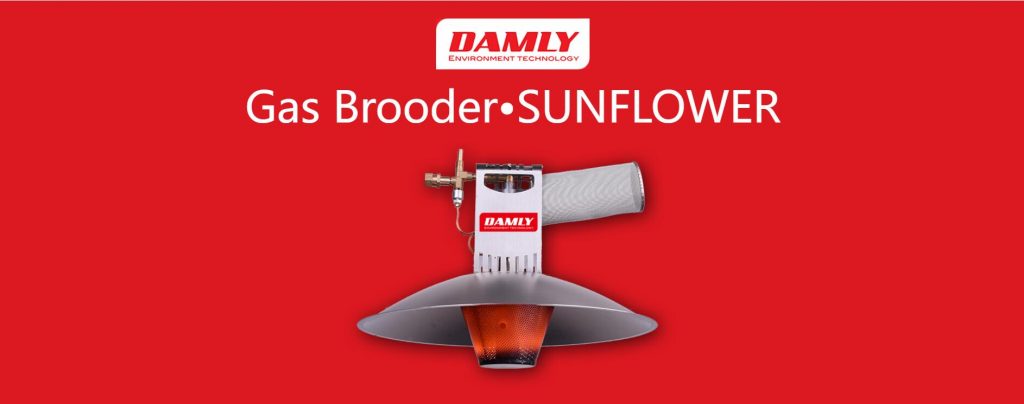 Infrared Gas Brooder SUNFLOWER – DAMLY Gas Brooder Heater for Poultry