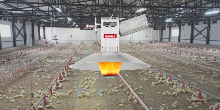 3 Different Kinds of Gas Heaters for Poultry House – DAMLY Gas Brooder ...
