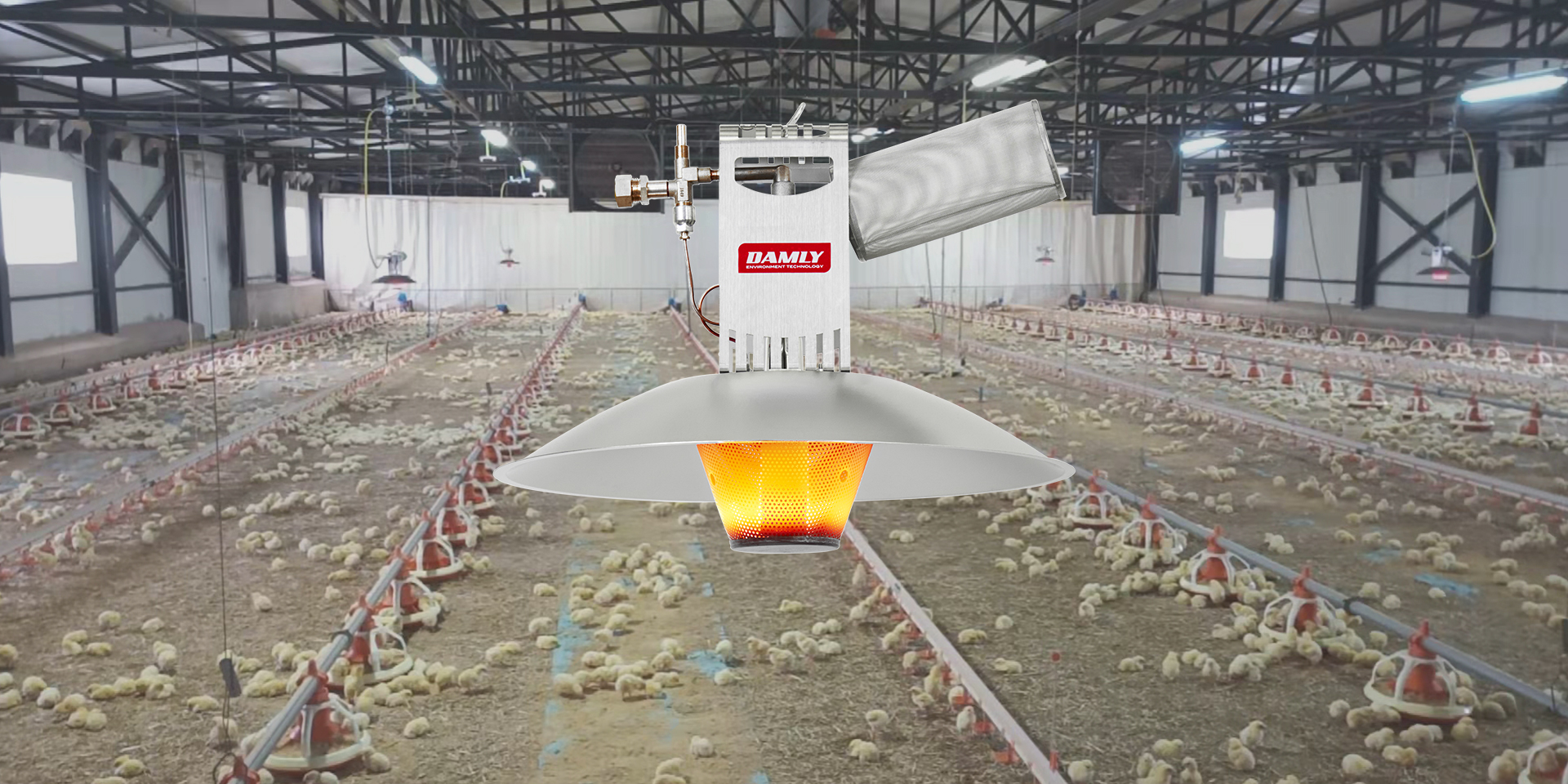 3 Different Kinds of Gas Heaters for Poultry House – DAMLY Gas Brooder ...