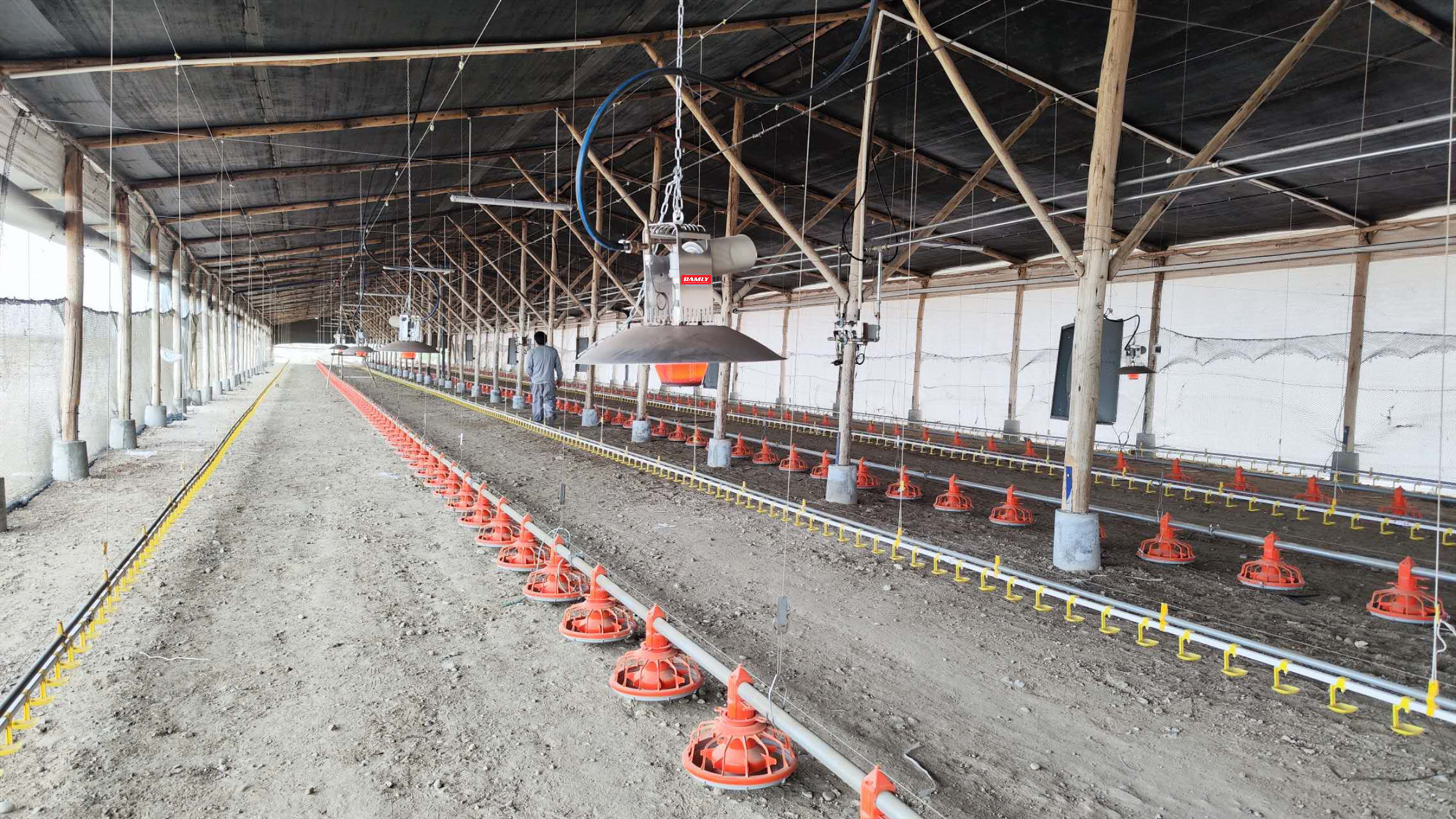 What’s the Gas Consumption of SUNFLOWER Radiant Poultry Gas Brooder ...