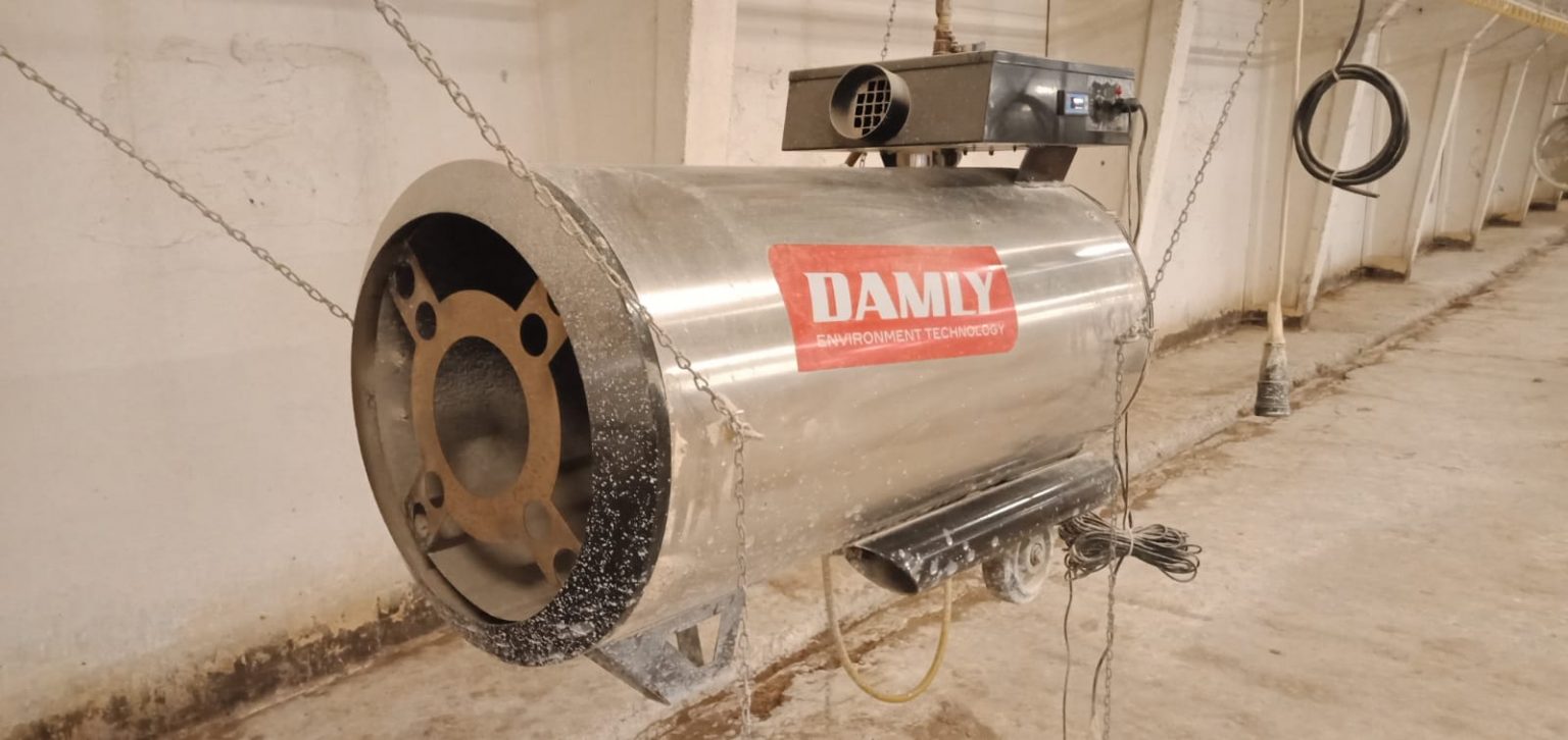Efficient Poultry Gas Heater Solutions for Optimal Farm Heating – DAMLY ...
