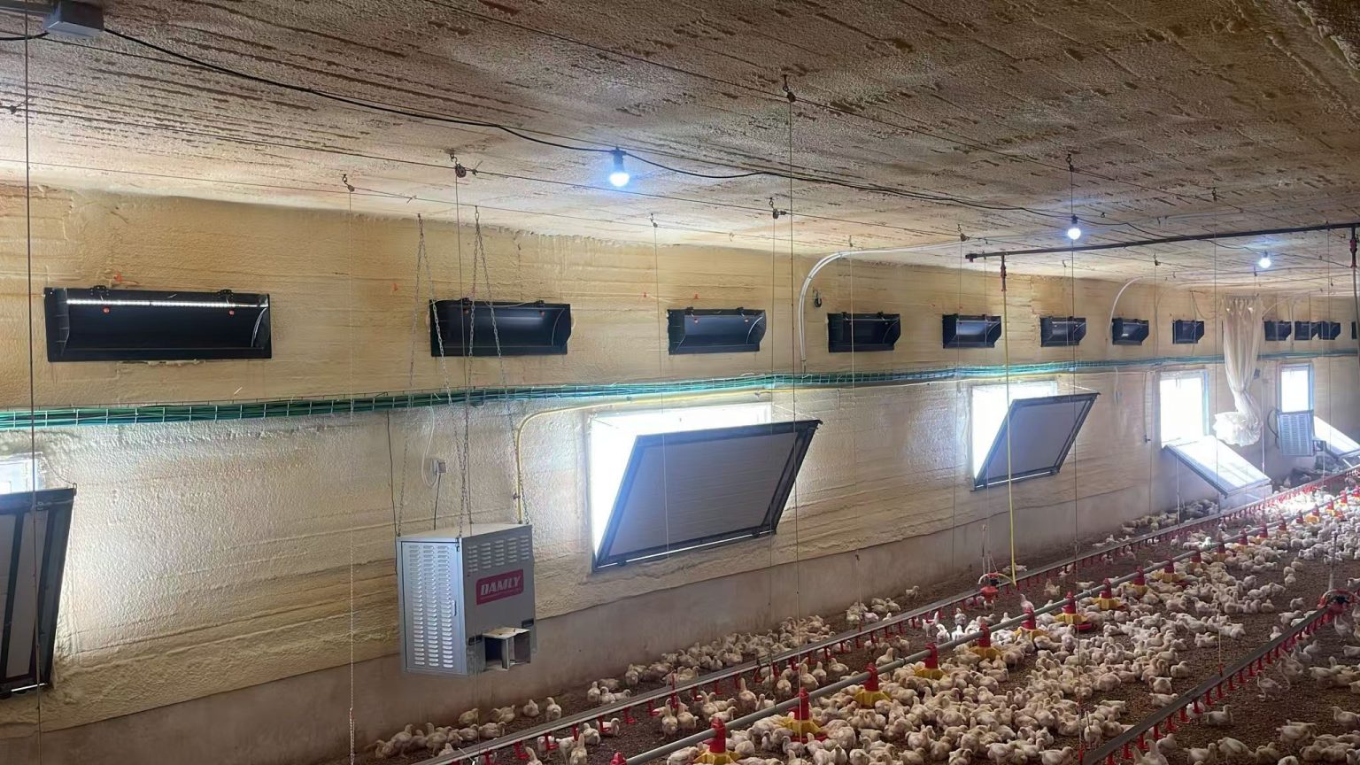 Advantages of Gas Heaters for Livestock Farming – DAMLY Gas Brooder ...